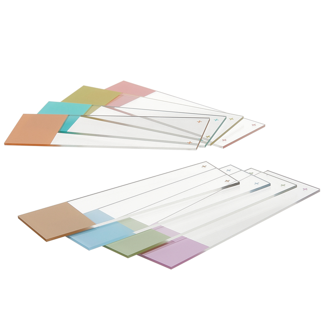 ColorFrost™ Plus Microscope Slides Green | Contact Us | www.fishersci.my
