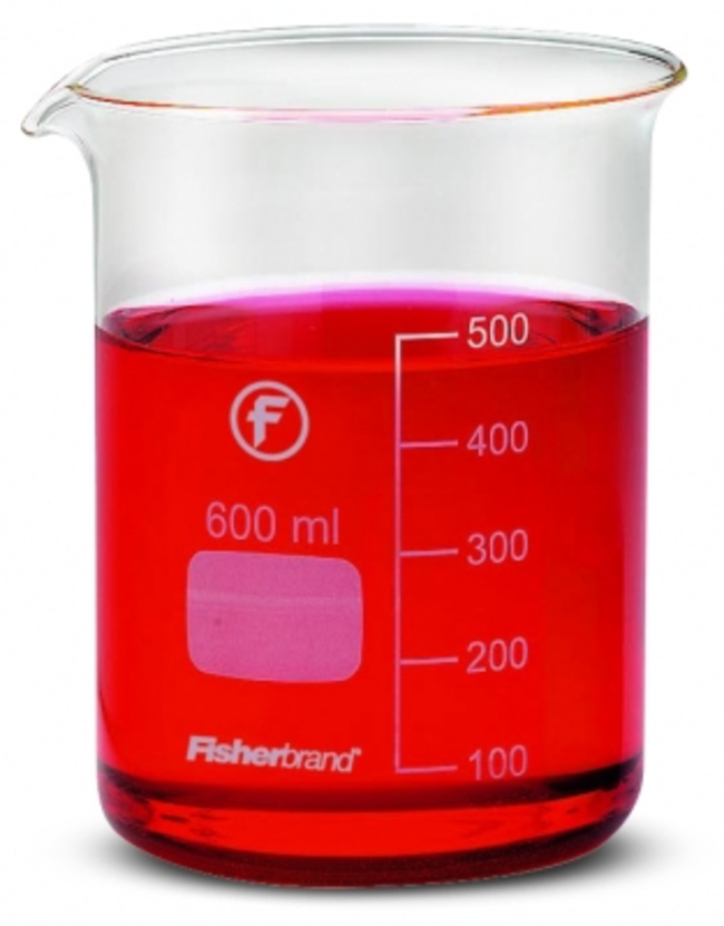 Squat Form Beakers 600 mL | Buy Online | Fisherbrand | www.fishersci.my