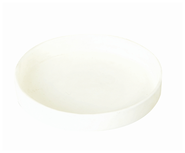 Porcelain Flat Capsule Crucibles 12 mL | Buy Online | Fisherbrand | www ...