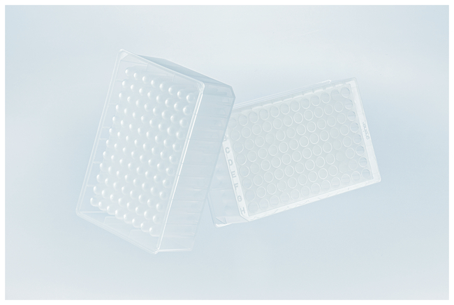 MASTERBLOCK™ 96 Deep Well Round Bottom 1mL Storage Plate Sterile | Buy ...